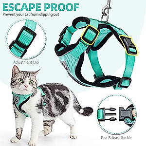 PUPTECK Cat Harness and Leash Set- Adjustable Vest Escape Proof Harness for Kitten Small Medium Cats, Retractable Breathable Soft Mesh for Outside with Reflective Strips