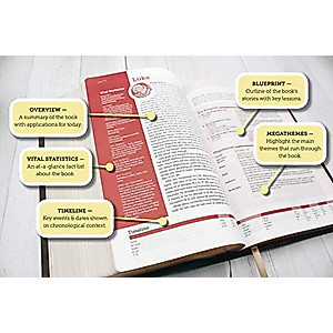 NIV, Life Application Study Bible, Third Edition, Leathersoft, Brown, Red Letter, Thumb Indexed