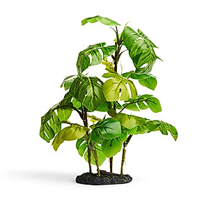 imagitarium Stand Araceae Plant Terrarium Decor, Small