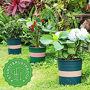 6 Pack Plant Support Plant Stakes, LEOBRO Peony Cages and Supports, Peony Supports Garden Stakes Plant Cage Plant Support Stakes for Outdoor Plants, Peony Tomato Flower Indoor Plants, 9.8" W x 15.7" H