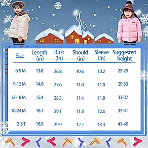 Baby Boys Girls Winter Coat Cute Bear Ear Hooded Jacket Warm Fleece Outerwear Windproof Zipper Infant Toddler Black 12-18M