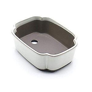 Bonsai Tree Pot Ceramic Mokko (Quince) Cut Off Shaped Glazed (6.4", Cream-Yu)