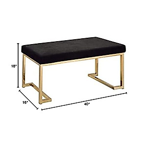 ACME Furniture Boice Bench, One Size, Black Fabric and Champagne