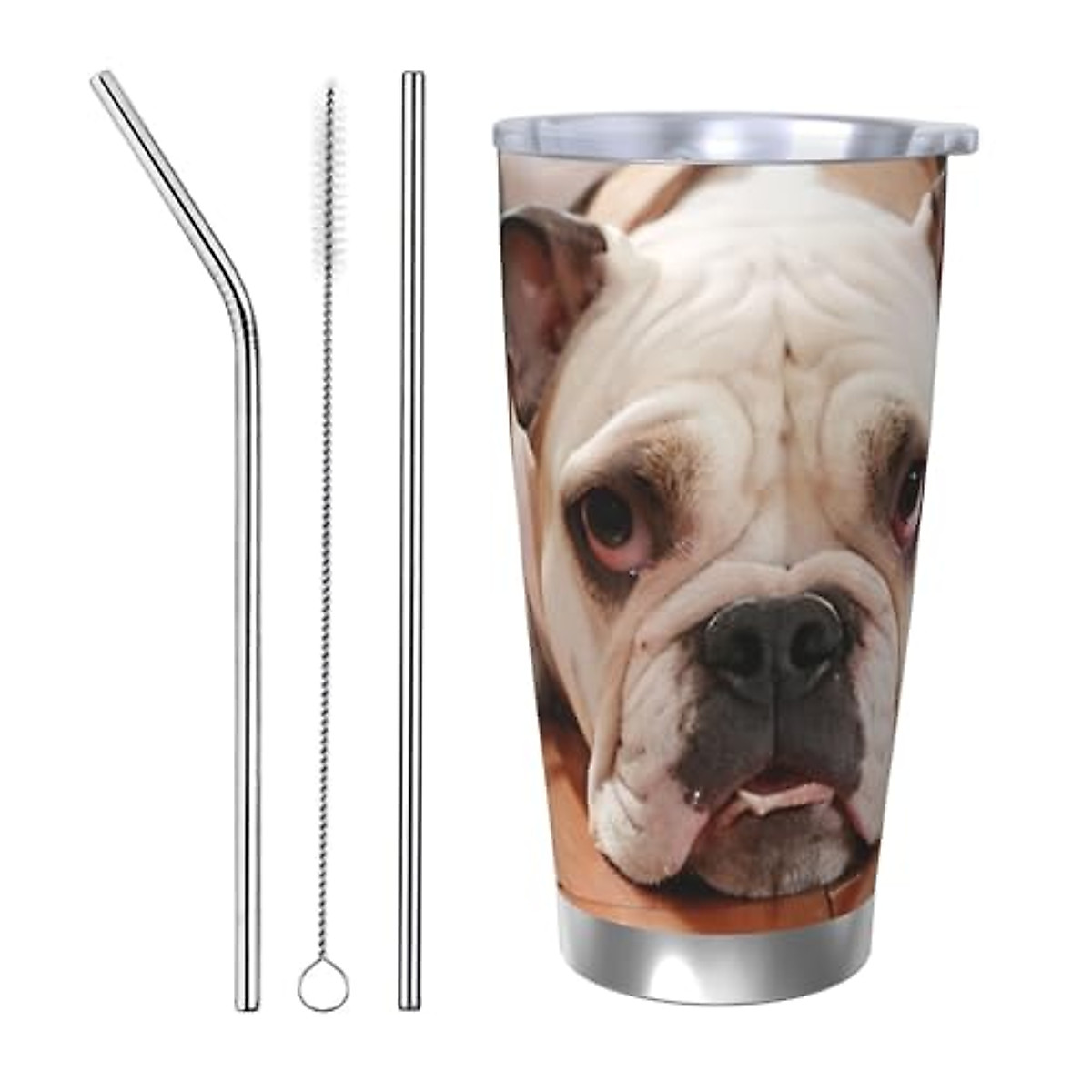 NHJKLWQSZ Lazy Dog Puppy 20oz Stainless Steel Tumbler With Lid And Straw, Double Wall Vacuum Insulated Coffee Mug Travel Cups Leak-Proof Lid For Hot And Cold Drinks, Metal Straws And Brush