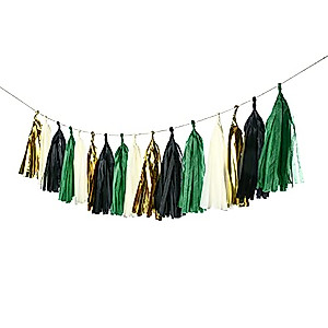 Mefuny Bining Tissue Paper Tassel DIY Hanging Paper Decorations Party Garland Decor for Party Decorations Wedding,Festival,Baby Shower Decoration 20PCS