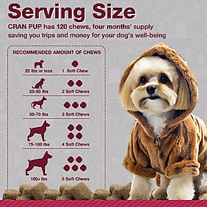 Pawlife Cranberry Supplements for Dogs| Urinary Tract & Bladder Support| D Mannose & Antioxidants for Support| 120 Veterinarian Formulated Soft Chews| Up to 4-Month Supply