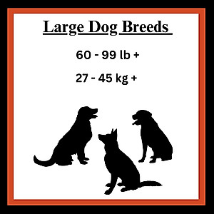 AccessiPets Filled Dog Bones Bundles for Large Dogs, Large Stuffed Femur Bone Bundle with 1 Dog Waste Roll, Long-Lasting Dental Treats for Aggressive Chewers (Hollow Bone)