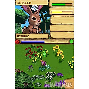 SimAnimals - Nintendo DS (Renewed)