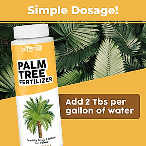 Palm Tree Fertilizer for All Palms and Ferns, Liquid Plant Food 8 oz (250mL)