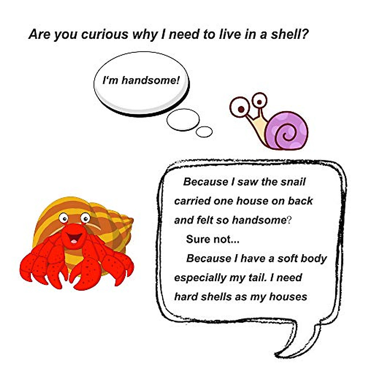 Petawi Hermit Crab Shells Large Medium XLarge Natural Growth Shells for Hermit Crab Variety Turbo Seashells Sea Conch No Painted Hermit Crab Supplies