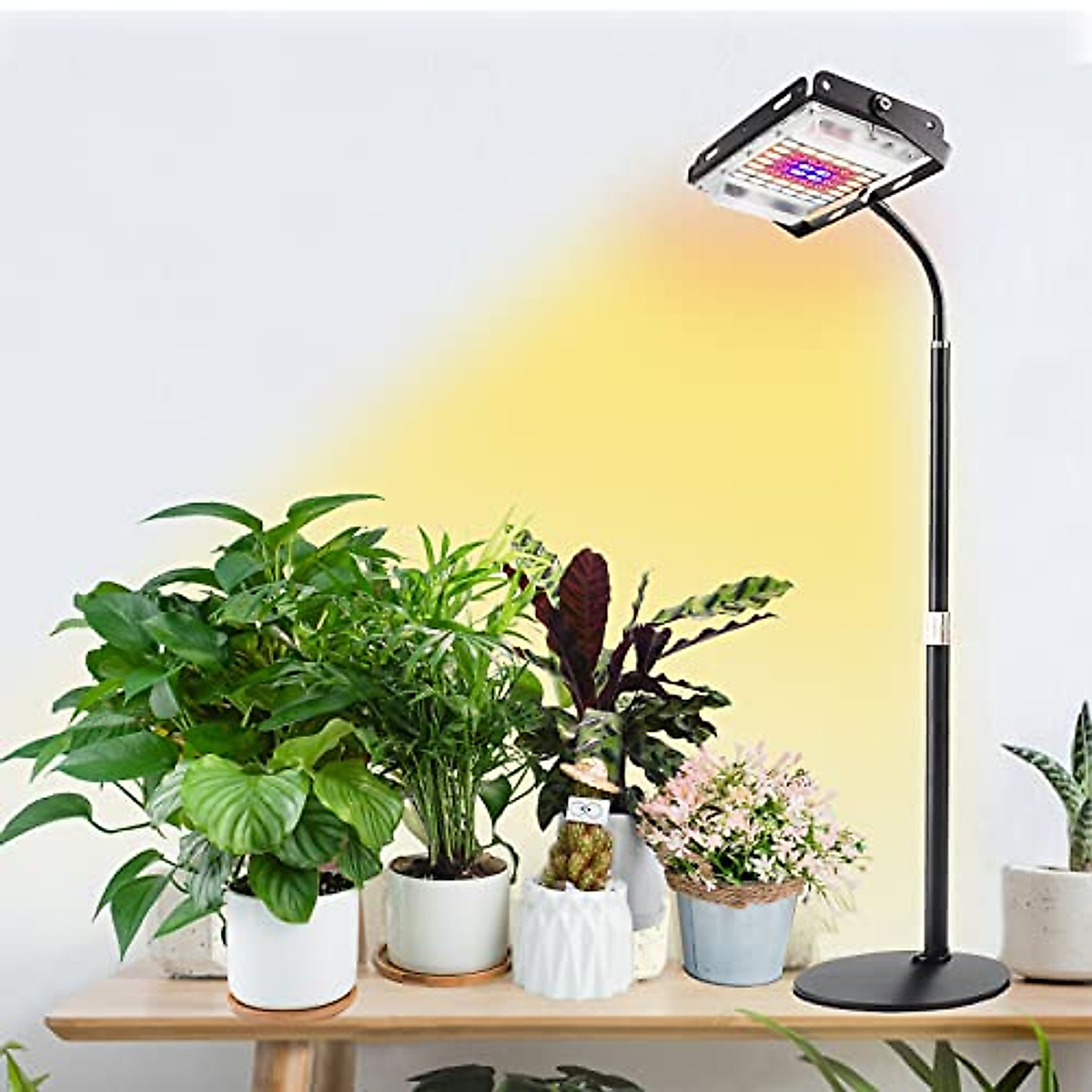 LBW Grow Light for Indoor Plants, Full Spectrum Desk LED Plant Light, Small Grow Lamp with On/Off Switch, Height Adjustable, Flexible Gooseneck, Ideal for Indoor Grow
