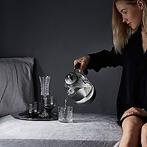 ASCOT Electric Kettle, 100% BPA-Free Glass Electric Tea Kettle, 1.6L 1500W Retro Tea Heater & Hot Water Boiler, No Plastic, with Auto Shut-Off and Boil-Dry Protection (Silver)