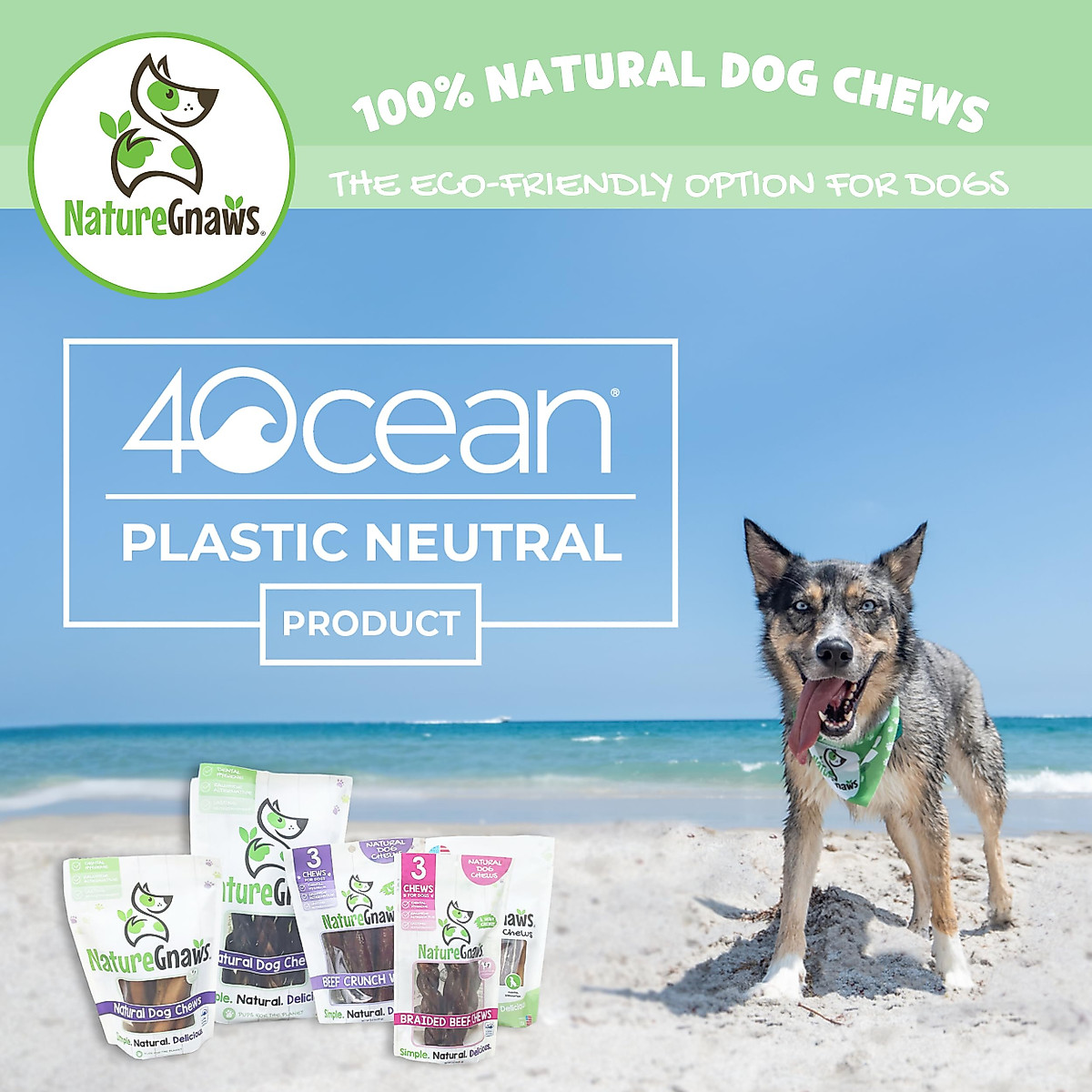 Nature Gnaws Beef Chew Sticks for Dogs 1LB - Premium Natural Dog Treats - Limited Ingredient Long Lasting Rawhide Free Dental Chews