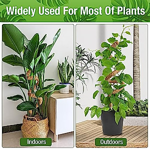 47 Inch Moss Pole for Plants Monstera, Bendable Plant Stakes for Climbing Plants, Monstera Moss Pole, Bendable Coco Coir Plant Support, Plant Sticks Support for Indoor Plants (1 Pack)