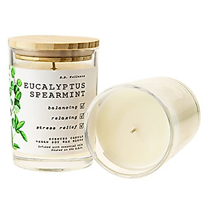 Leoben Company | B.B. Wellness | Hand Poured Soy Wax | Made in Small Batches | 40 Hours | Infused with Natural Essential Oils | Vegan | Phthalate-Free (Eucalyptus Spearmint)