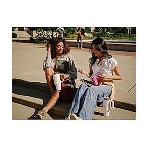 Stanley Quencher ProTour Flip Straw Tumbler with Leakproof Lid 30 oz | Built-In Straw & Handle | Cupholder Compatible for Travel | Insulated Stainless Steel Cup | BPA-Free | Rose Quartz