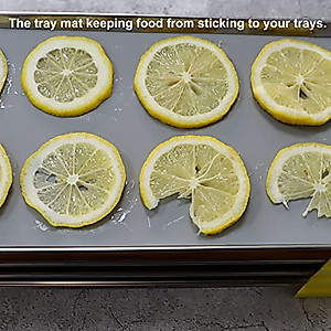 PIAOLGYI Tray Mats for Harvest Right Freeze Dryer Medium Trays,Silicone Accessories Compatible with Harvest Right Freeze Dryer Medium Trays(Green)