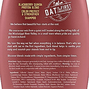 Aveeno Blackberry Quinoa Protein Blend Sulfate-Free Shampoo for Color-Treated Hair Protection, Daily Strengthening & Moisturizing Shampoo, Paraben & Dye-Free, 12 Fl Oz