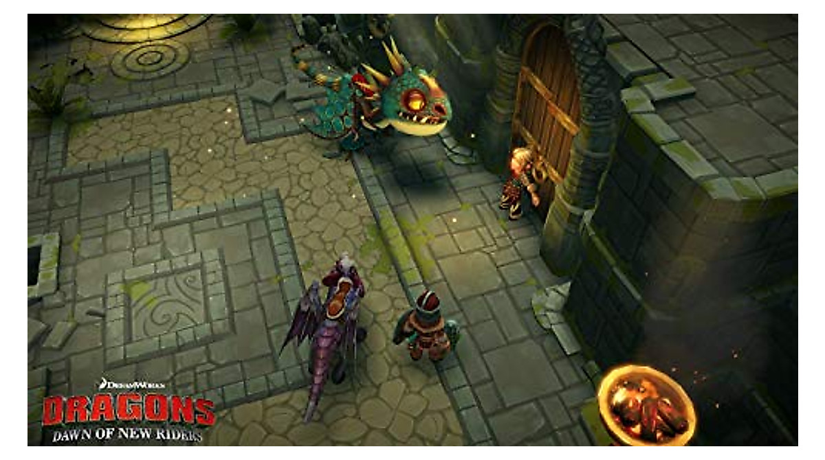 Dragons Dawn of New Riders Nintendo Switch - Epic Adventure Game