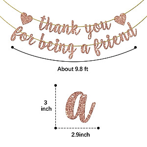 Helewilk Thank You for Being a Friend Banner, Girls Party Decorations, Thank You Party Banner, Friends Birthday/Anniversary/Graduation Party Hanging Decor Supplies