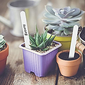 KINGLAKE 100 Pcs 6 Inch Thick Plastic Plant Garden Labels Nursery Garden Labels Stake Tags Plant Name Tags Waterproof Plant Tags Plant Identification Stakes Tags for Seedling,Vegetable White