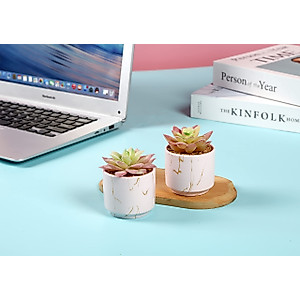 zenmag Fake Succulents, Mini Succulents Plants Artificial in Pink Ceramic Pots for Desk Livingroom Bathroom and Home Decoration Office Decor for Women Set of 2 Artificial Succulents
