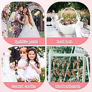 52 Pack Biodegradable Confetti, Dried Flower Petals, Real Pink Rose Petals for Weddings, Flower Girl, Valentine's Day, Wedding Send Off Ideas, Flower Girl Dinner Table Centerpieces