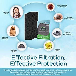 Breathe Naturally - Replacement Carbon Filter 4-Pack for Idylis IAP-GG-125, Compatible with Idylis Air Purifier Filter E, Fits Multiple Models - Plastic, Black – Made in USA, Weight - 2.39 Ounces
