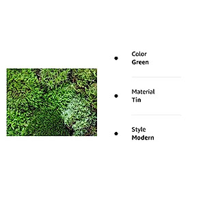 Tin Roof Treasure Live Terrarium Moss Assortment