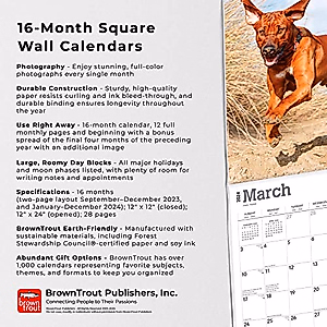 Rhodesian Ridgebacks | 2024 12 x 24 Inch Monthly Square Wall Calendar | BrownTrout | Animals Dog Breeds
