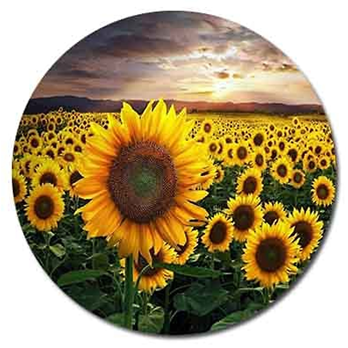 Blooming Sunny Sunflower Round Coaster Set of Drink- Made of Polyester Fabric and Recycled Rubber Coaster Set - Set of 4