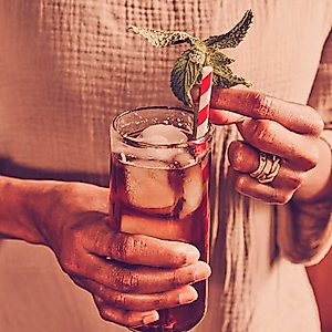 Luzianne Original Unsweetened Iced Tea Bags, 100 Count (Pack of 4)