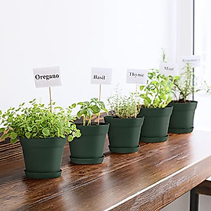 homenote Plant Pots,15 Pack 6 inch Flower Pots with Multiple Drainage Holes and Saucers,Plastic Planters for All Home Garden Flowers Succulents(Green)