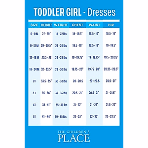 The Children's Place Baby Toddler Girls Long Sleeve Fashion Skater Dresses, H/T Lunar, 6-9 Months