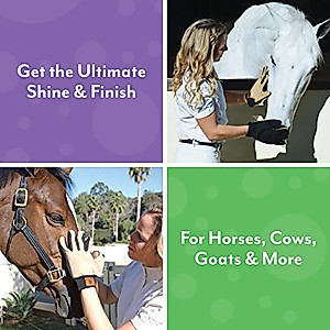 HandsOn Finishing Gloves - Pony & Horse Grooming Mits - Equestrian Horse Brush for Shining & Shedding Coat Care (Small/Medium, Pack of 1 Pair)