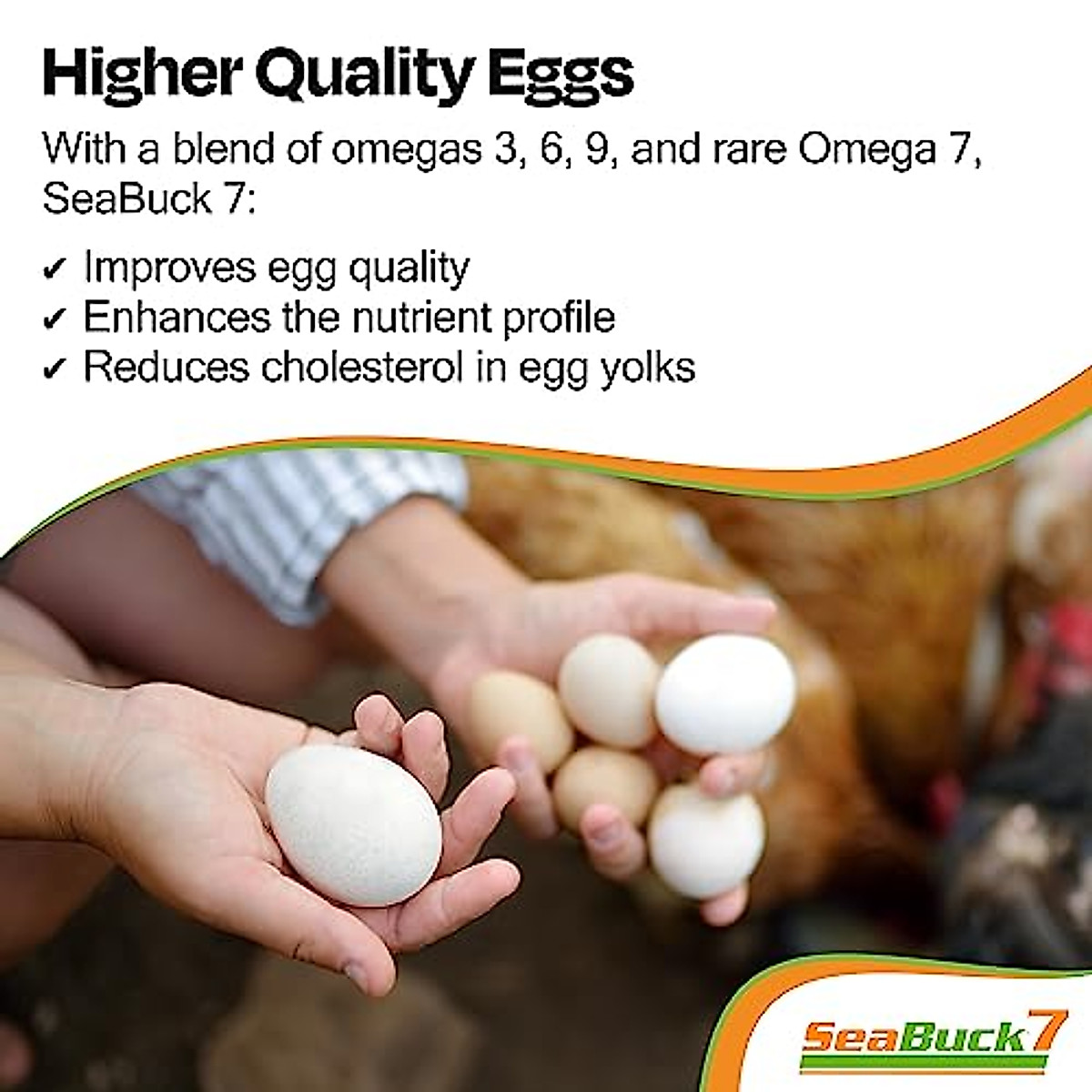 SeaBuck 7 Chicken & Bird Supplement with Sea Buckthorn to Improve Egg Quality (1-Month Supply for 20 Chickens) – Earlier Laying, Egg Production Booster & Higher Quality Eggs