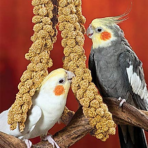 Nemeth Farms Worlds Freshest Sun-Dried Spray Millet Non-GMO and Pesticide Free (No Stems Only Edible Tops) Healthy Bird Treat and Supplement for All Pet Birds Keets Cockatiels Finches-1lb