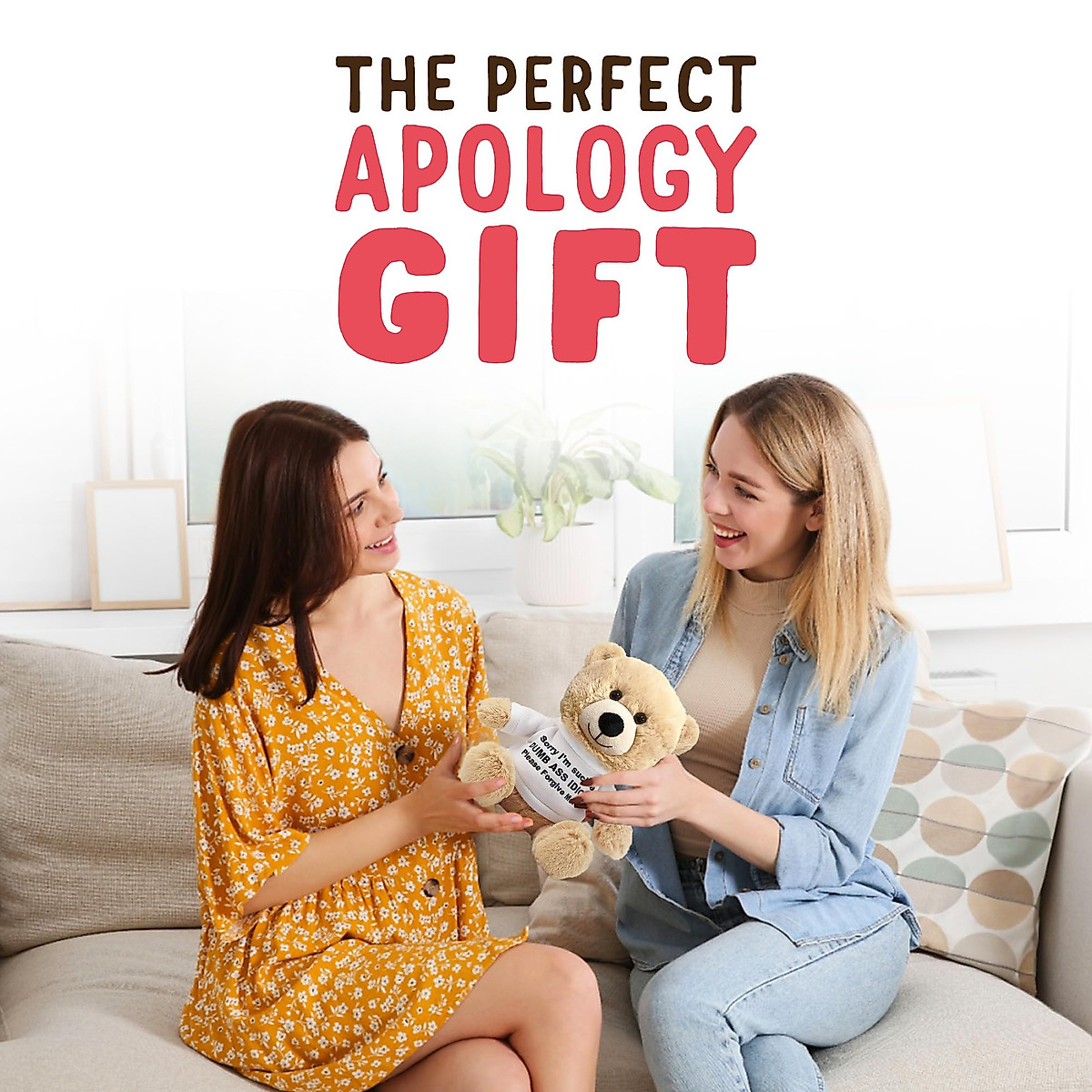 Sorry I'm An Idiot" 10" Teddy Bear with Gift Bag - Cute Funny Apology Plush for Girlfriend, Boyfriend, Best Friend