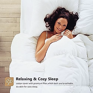 DWR Premium Feather Down Comforter Duvet Insert - 100% Skin-Friendly Cotton, Medium Weight Quilted for All Season Bedding (Full/Queen, Ivory White)