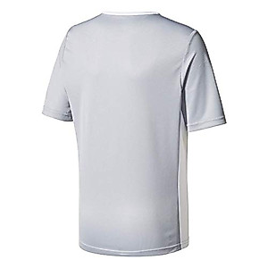 adidas Boys' Entrada 18 Jersey, Light Grey/White, XX-Small