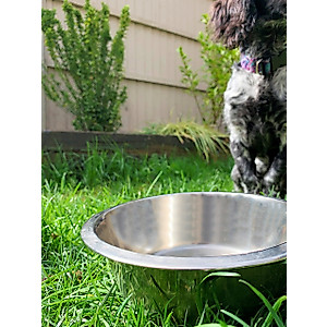 Snow Peak Unisex's Dog Bowl-Stainless Steel, Unset, Medium