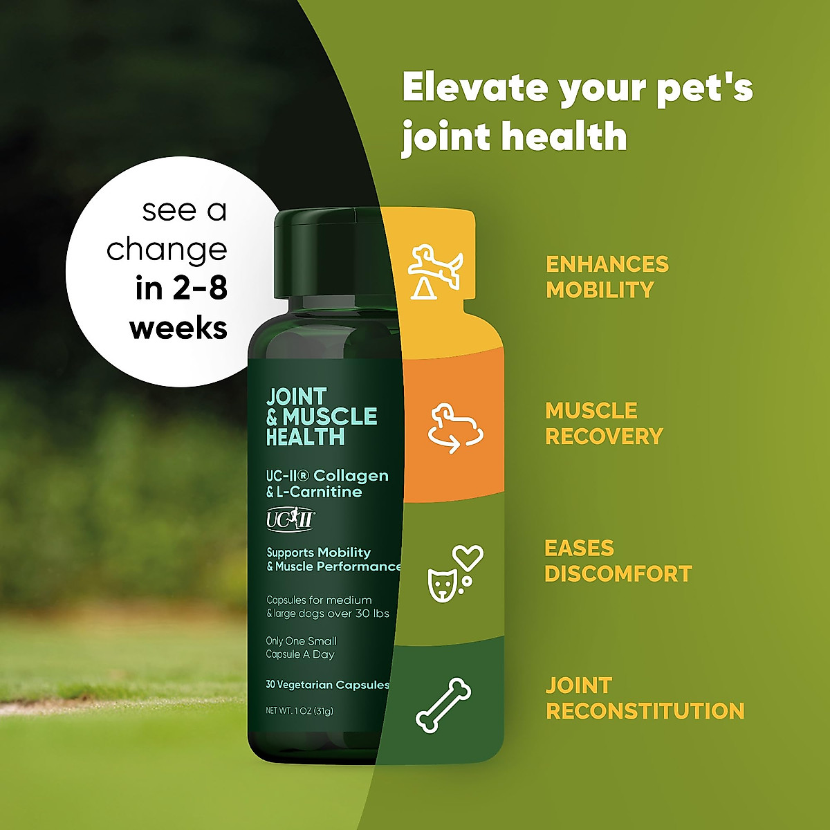 Rooted Owl Joint and Muscle Health - Hip and Joint Supplement for Dogs with UC-II Type II Collagen and L-Carnitine - Medium and Large Dog Joint Supplement - 30/ct