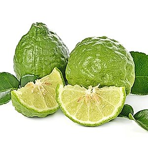 QAUZUY GARDEN 3 Makrut Kaffir Lime Seeds (Citrus Hystrix) - Fragrant Edible Leaves - Perennial Tropical Exotic Fruit Tree - Great for Container Pot - Easy to Grow