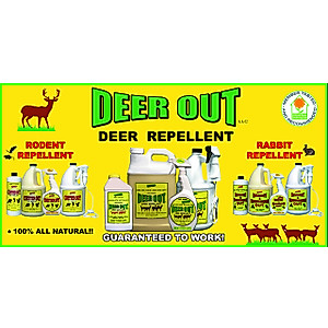 Rabbit & Groundhog Repellent: Rabbit Out 48oz Ready-to-Use