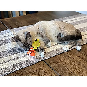 H&K Cat Toy | Clownfish | Plush Cat Toy with Catnip Inside | Funny Realistic Cat Gift | Fun, Durable, and Safe | Huxley & Kent Cat Toys