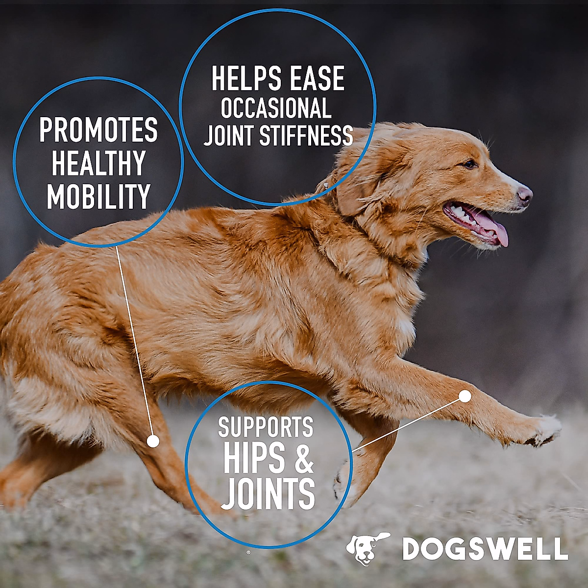 DOGSWELL Hip and Joint Supplement for Dogs - Soft Chews with Glucosamine, Chondroitin, MSM, Boswellia & Turmeric, 1 Pound