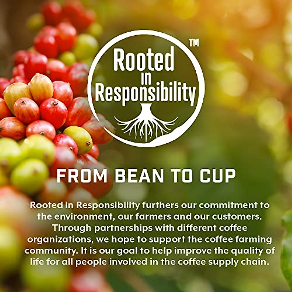 Eight O'Clock Coffee Barista Blends Caffe Americano, 11 Ounce, Mild Espresso, Medium Bodied Balanced Flavor