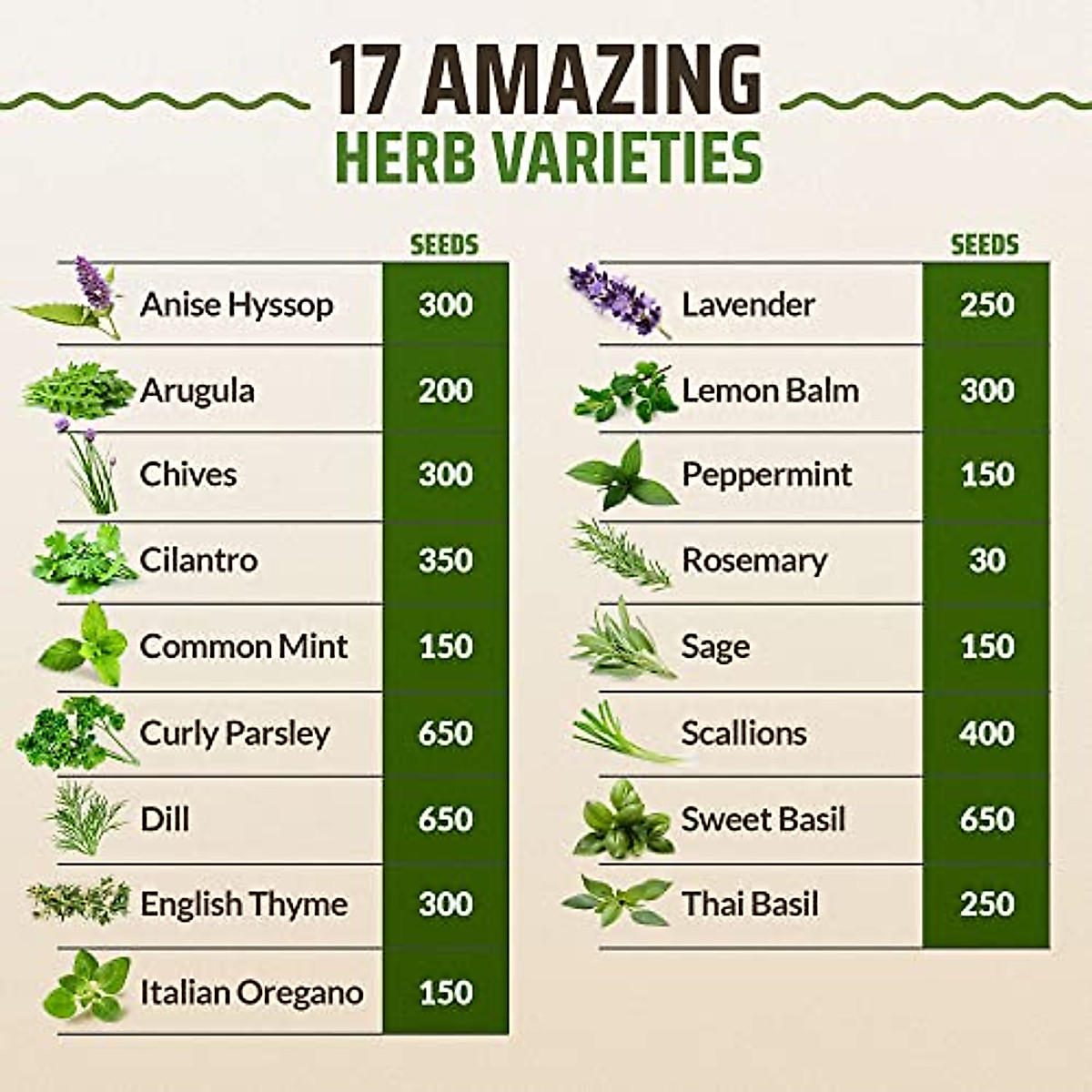 17 Herb Culinary Seed Vault - 5200+ Herbs Seeds for Planting Indoor or Outdoor Garden - Heirloom, Non GMO | Hydroponic Herb Garden Seeds with High Germination | Cilantro, Mint, Chives, Basil, Parsley