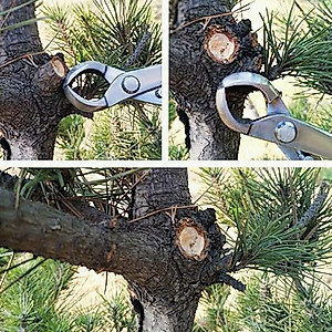 Bonsai Tools Concave Cutter Knob Cutter 180 mm Bonsai Cutters Branch Cutter Bonsai Scissor Tree Clippers Bonsai Pruning Bonsai Trimmer Gardening Tools