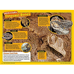 Ultimate Explorer Field Guide: Rocks and Minerals